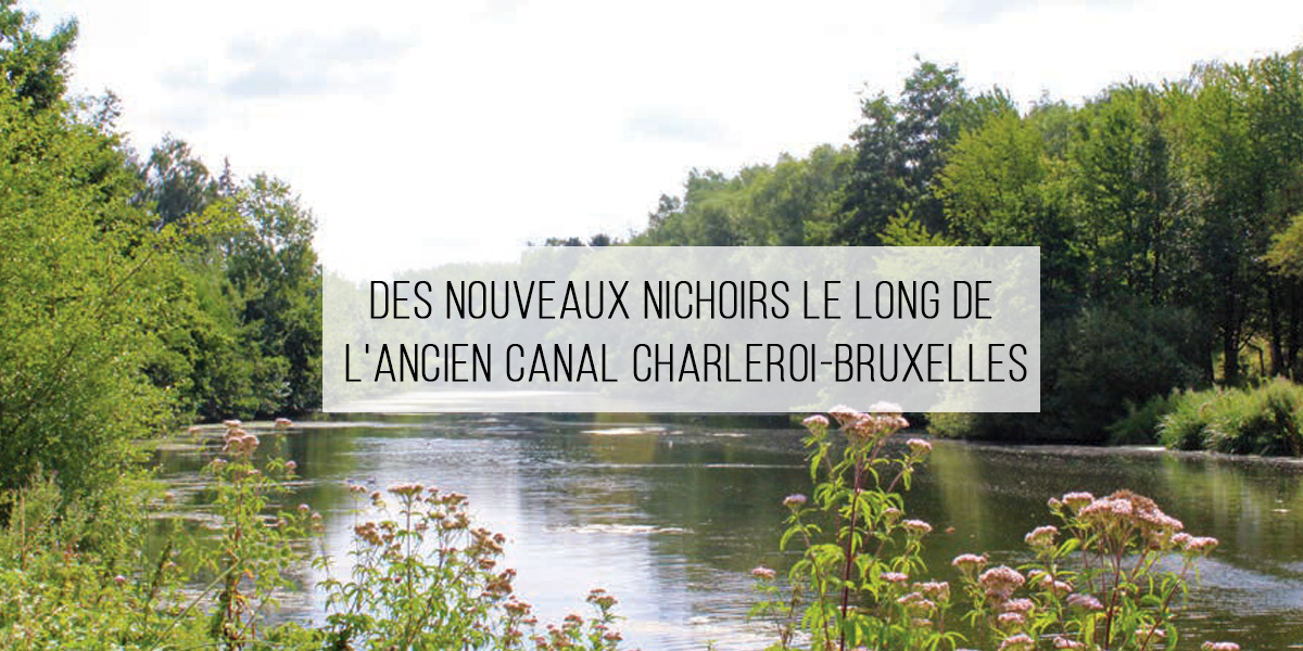 header-news-nichoirs-vieux-canal – CR SENNE
