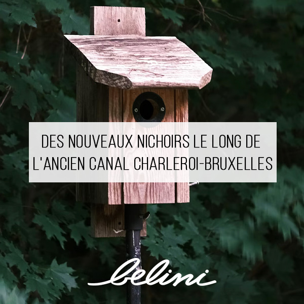 vignette-news-nichoirs-vieux-canal – CR SENNE